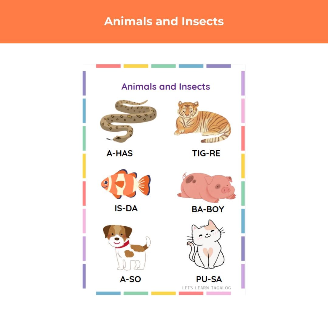 Learn Basic Tagalog Words for Kids - Etsy