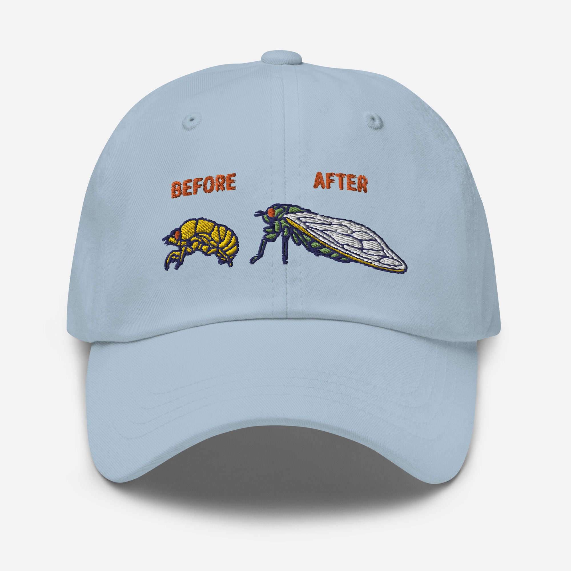 Cicada Before & After Dad Hat - Etsy