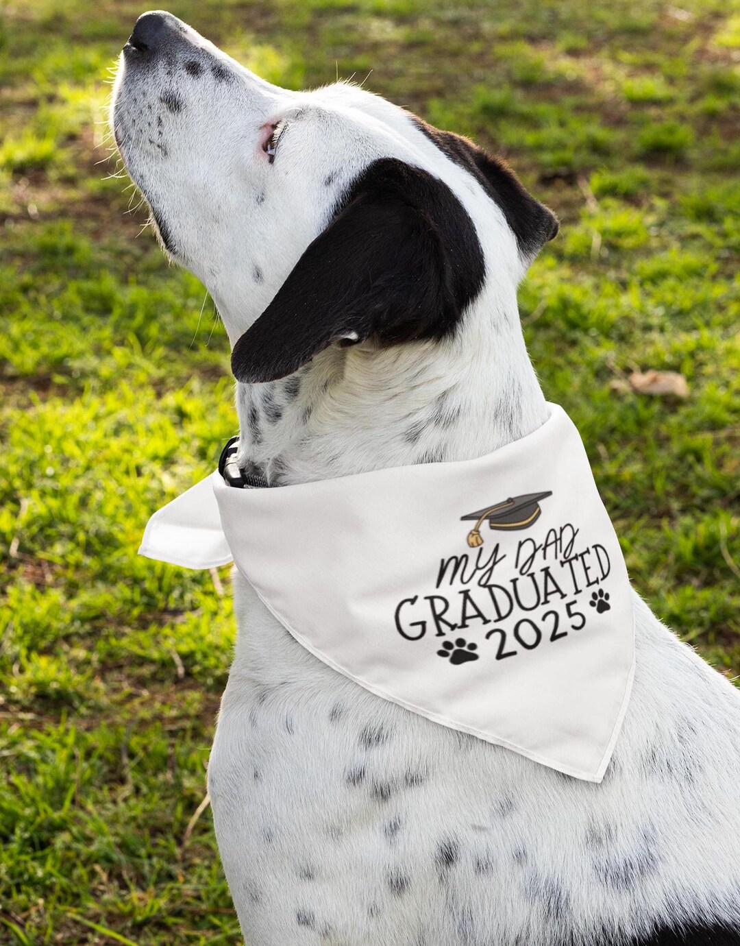 Graduation Pet Bandana, Custom Dog Bandana, Graduation Dog Mom ...