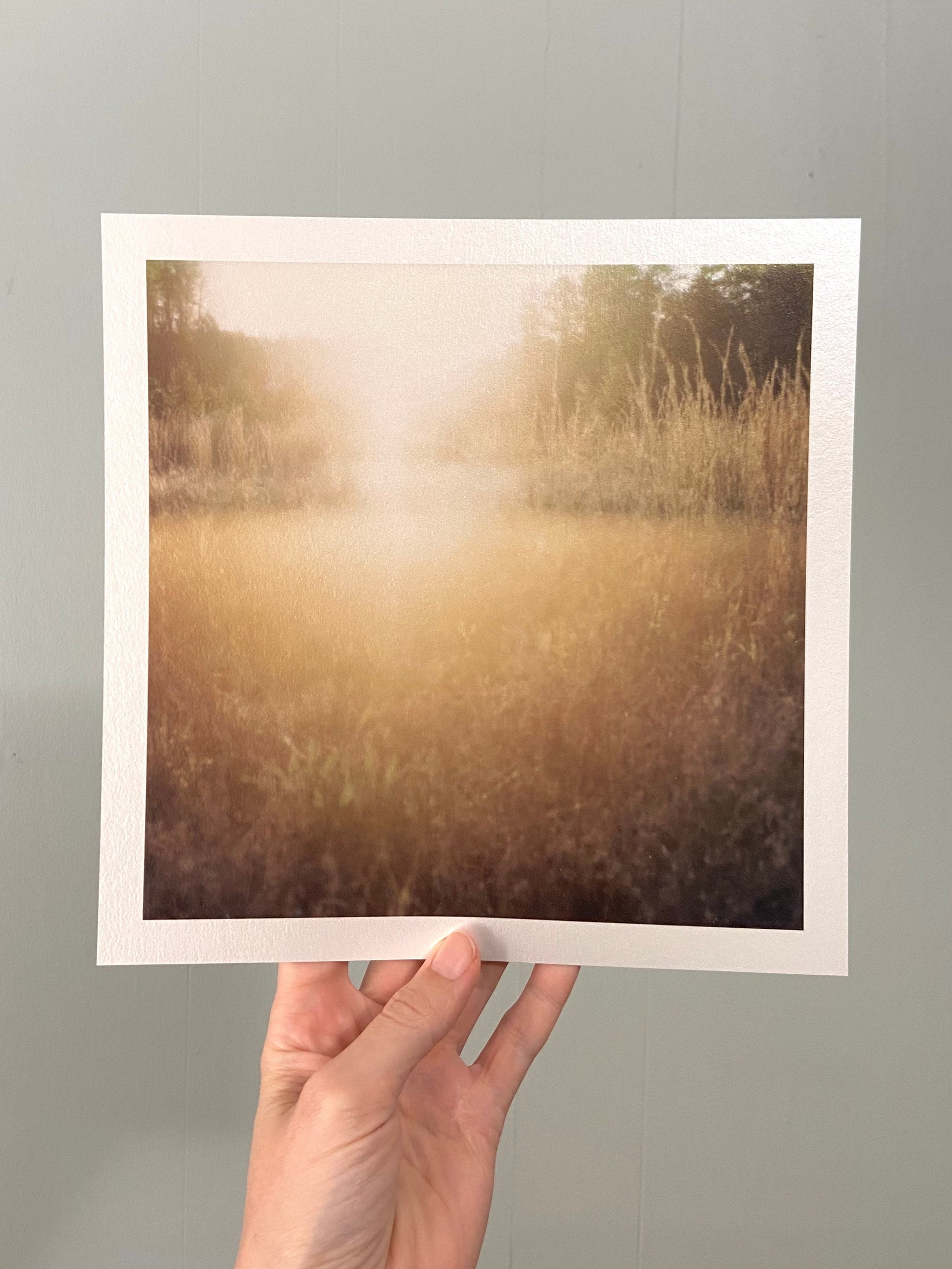 Polaroid Photography Art