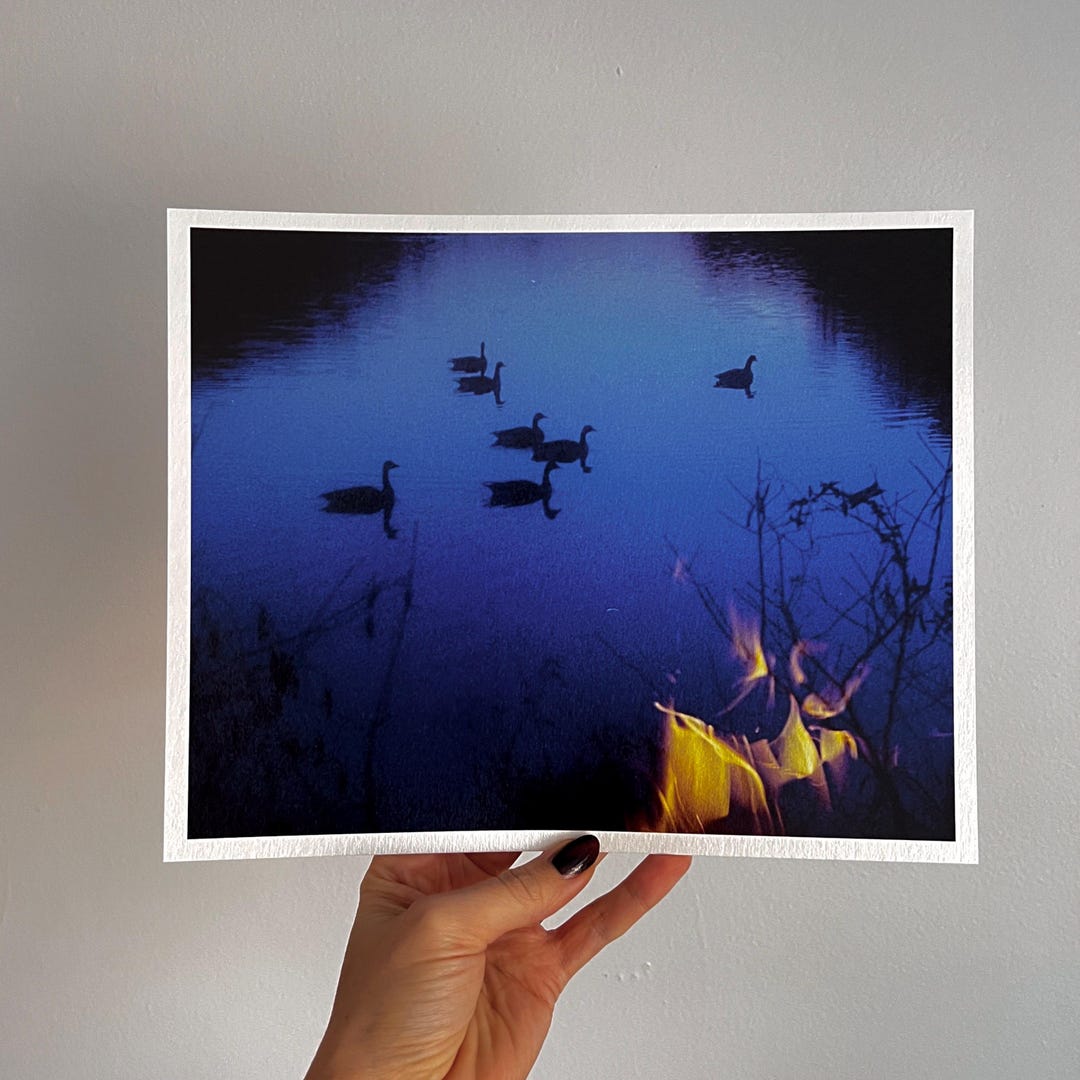 Dark Blue Film Photography Art Print, 8x10, Moody Landscape Bird Fire ...