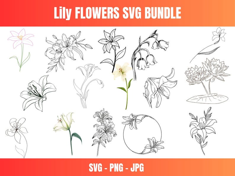 Lily Flowers Svg Bundle, Lily Flowers, Lily Flowers Png, Botanical Svg ...