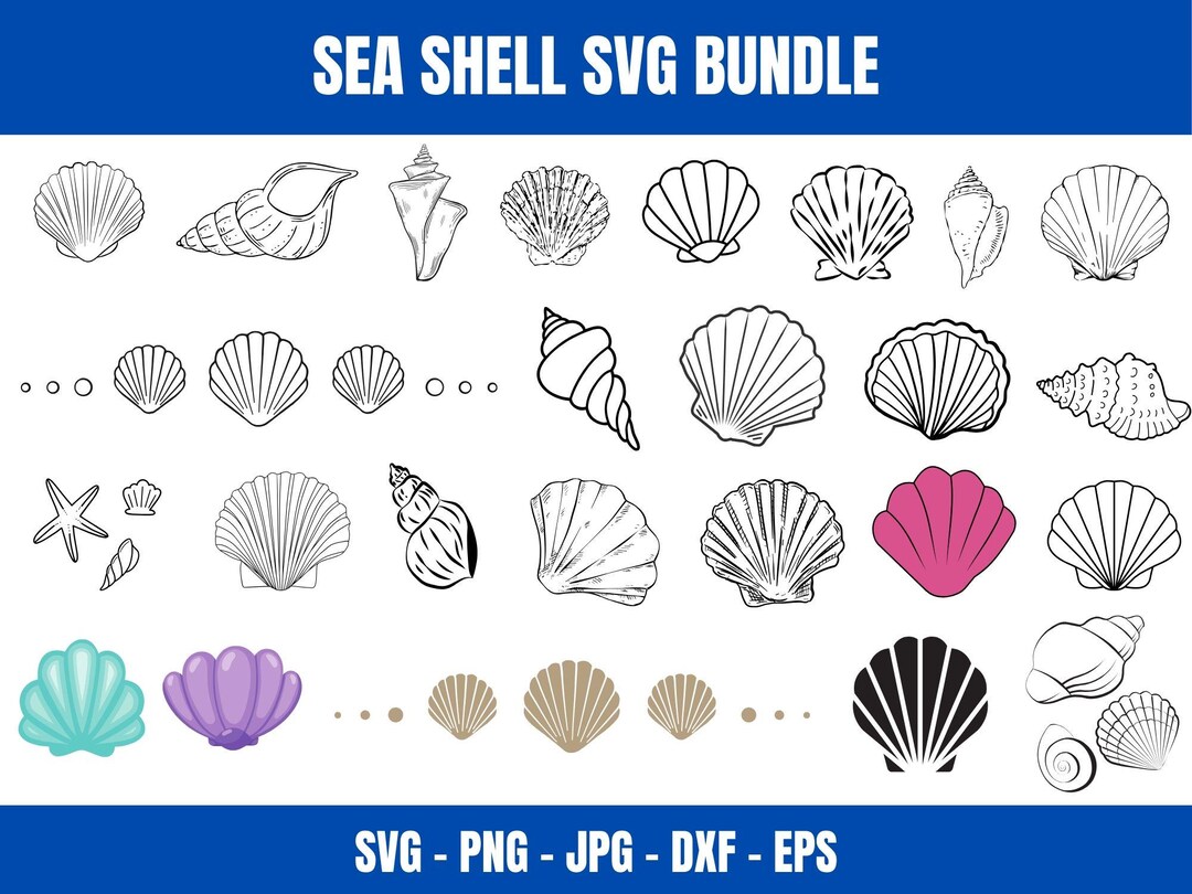 Sea Shell SVG Bundle: Beach Clipart, Starfish Designs (digital Download ...