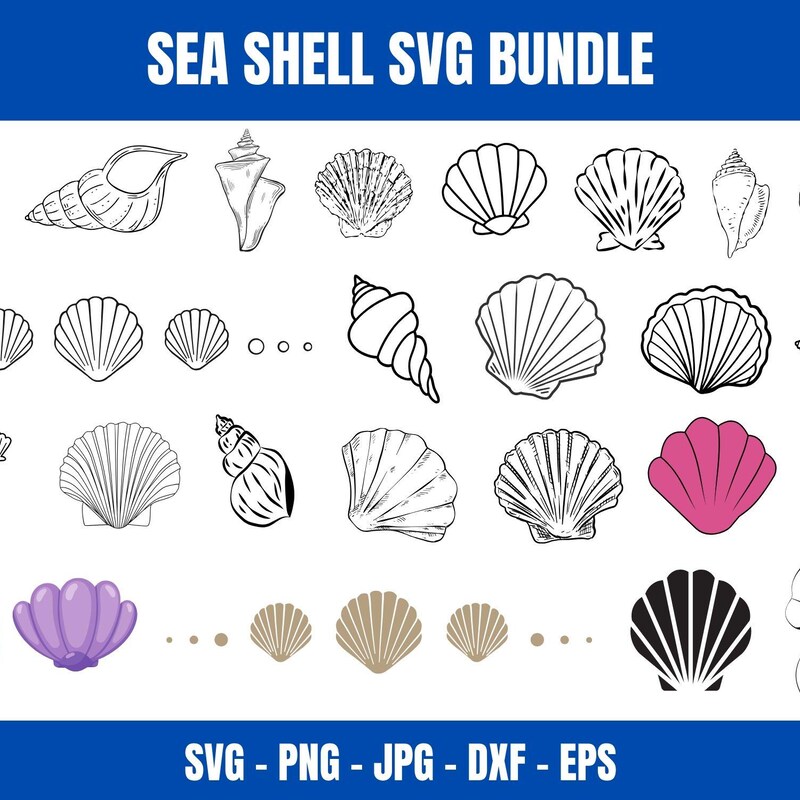 Seashells Svg - Etsy