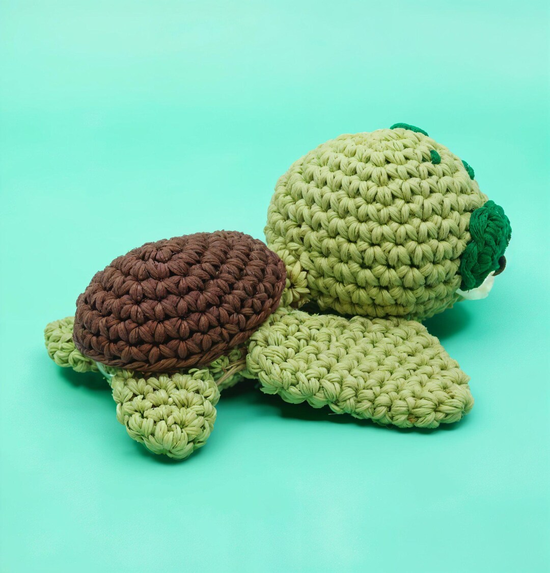 Finn the Sea Turtle Crochet Pattern - Etsy