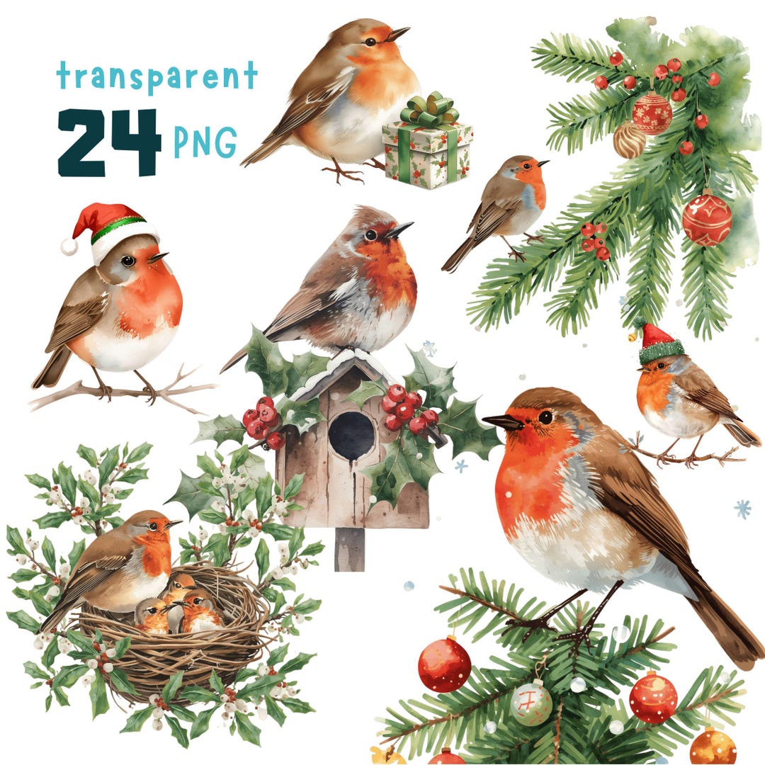 24 Cute Christmas Robin PNG Bundle Clipart, Watercolor Robin Birds ...