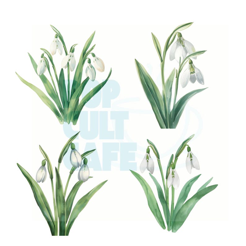 15 Snowdrops PNG Clipart, Spring Flowers Clipart, Printable Watercolor ...