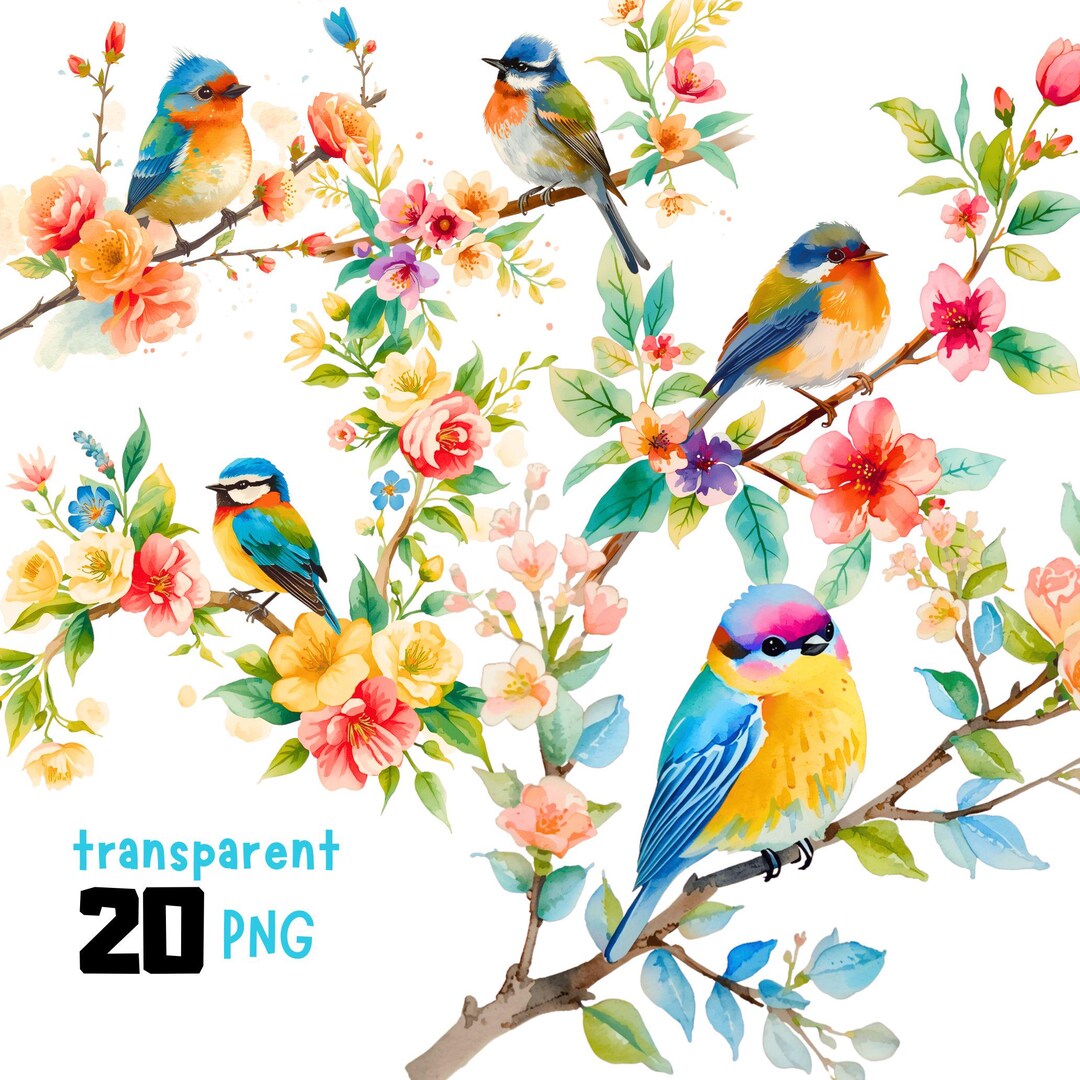 21 Floral Birds Clipart Bundle, Spring Birds Clipart, Blossom Bird ...