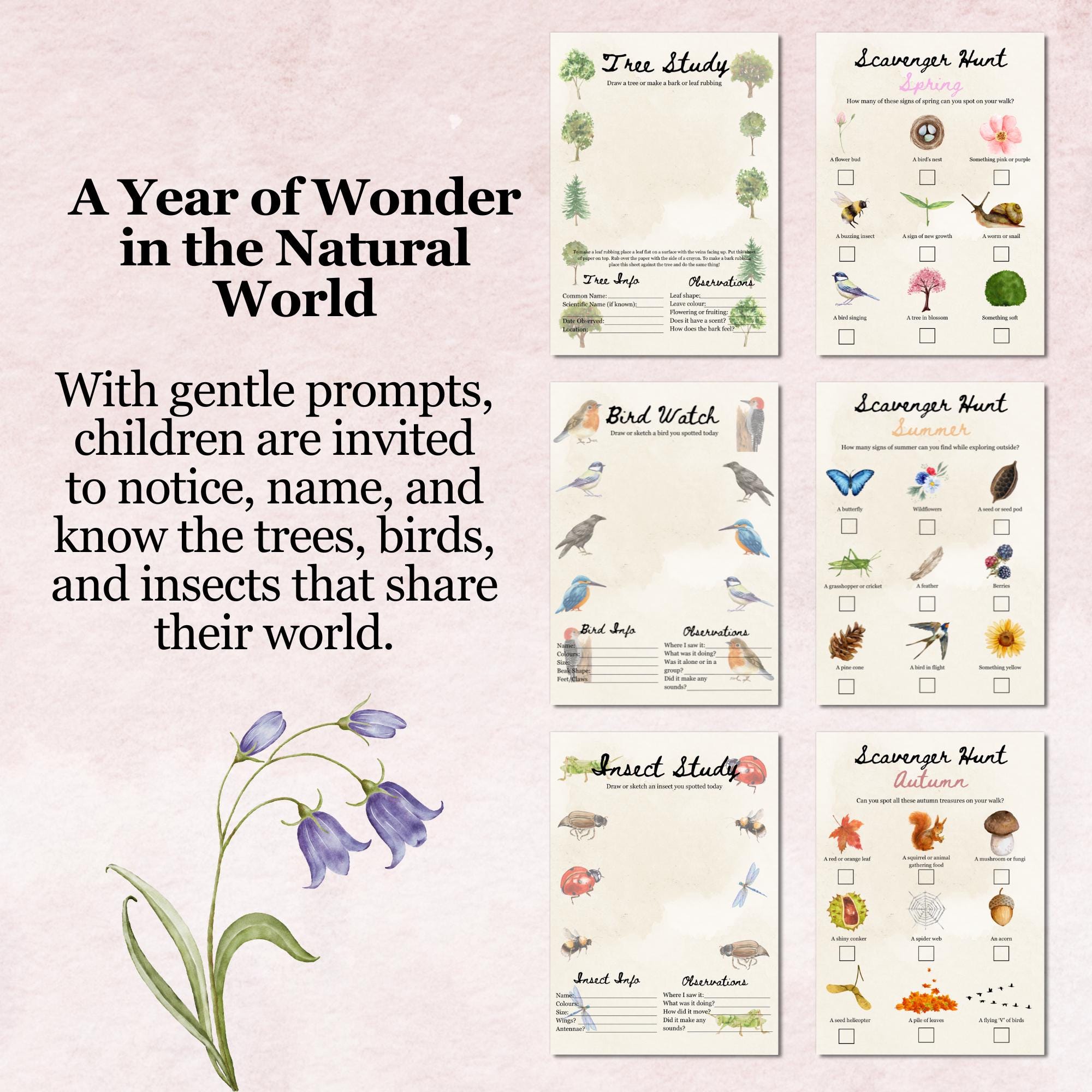 Charlotte Mason Inspired Nature Journal | Nature Study for Kids ...