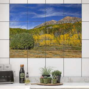 Colorado Ceramic Tile Mural, Aspen Back Splash Back-splash, Beautiful ...