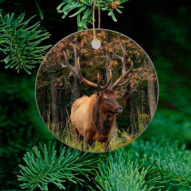 Bull Elk Ornament, Unique Wildlife Art, Available on Wood or Ceramic ...