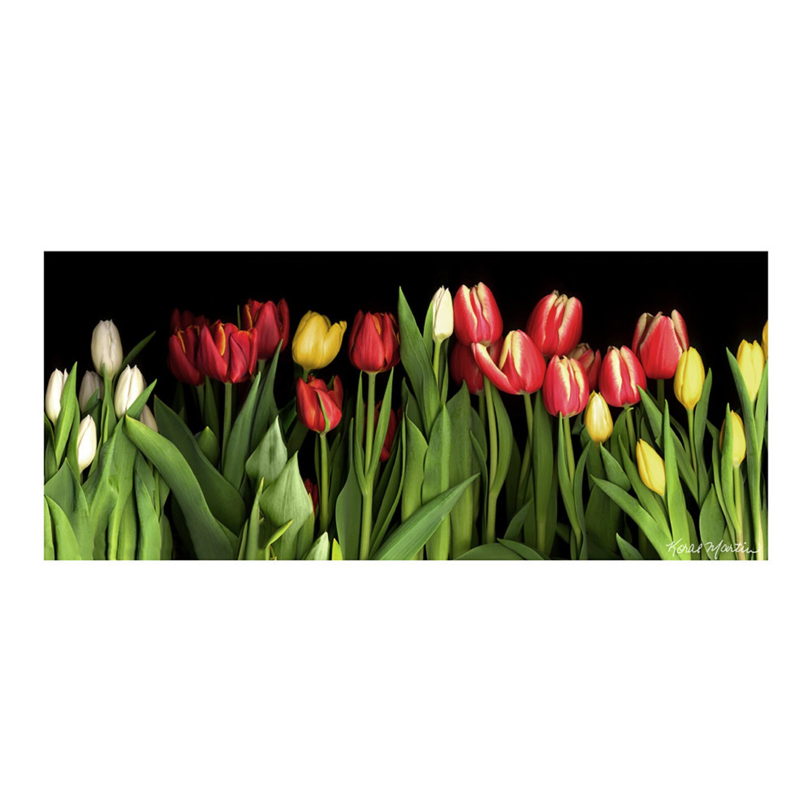 Tulip Mug With Beautiful Spring Tulips All Around, 2 Sizes - Floral ...