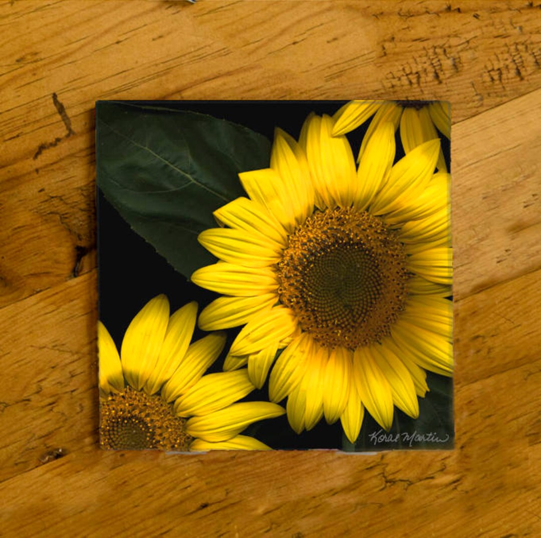 Sunflower Coaster With Matte Finish Ceramic | Sunflower Art | Beautiful ...