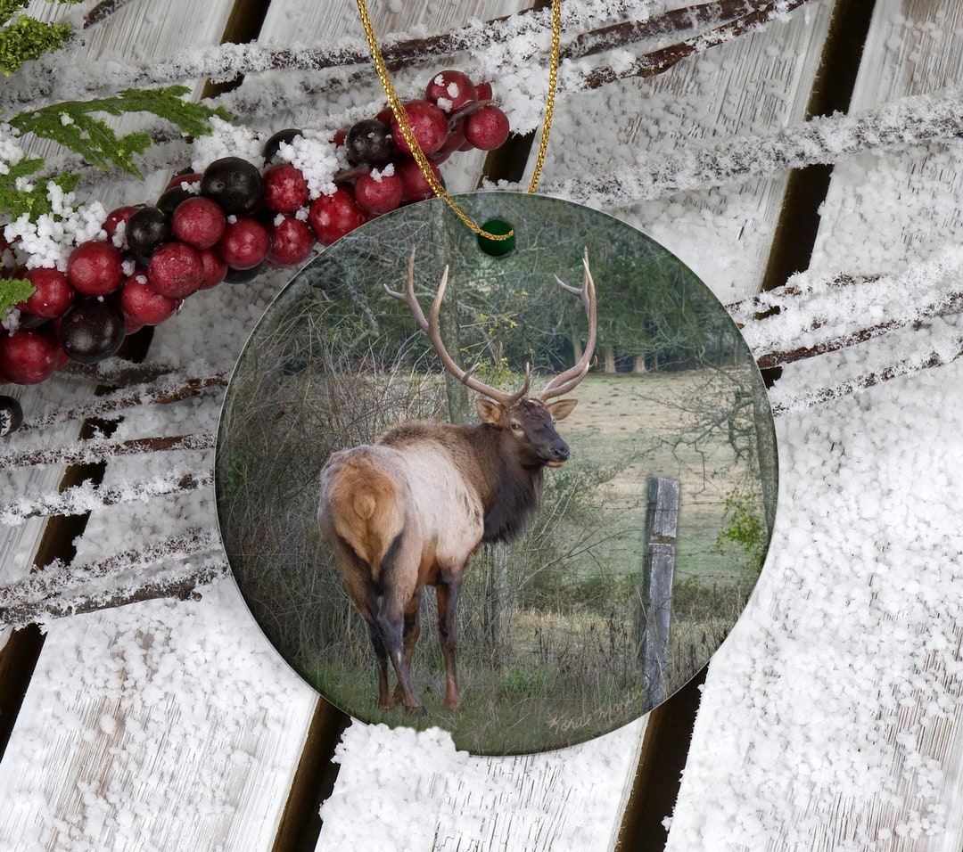 Bull Elk Ceramic Ornament - Wildlife Lover Gift, Unique Christmas Tree ...