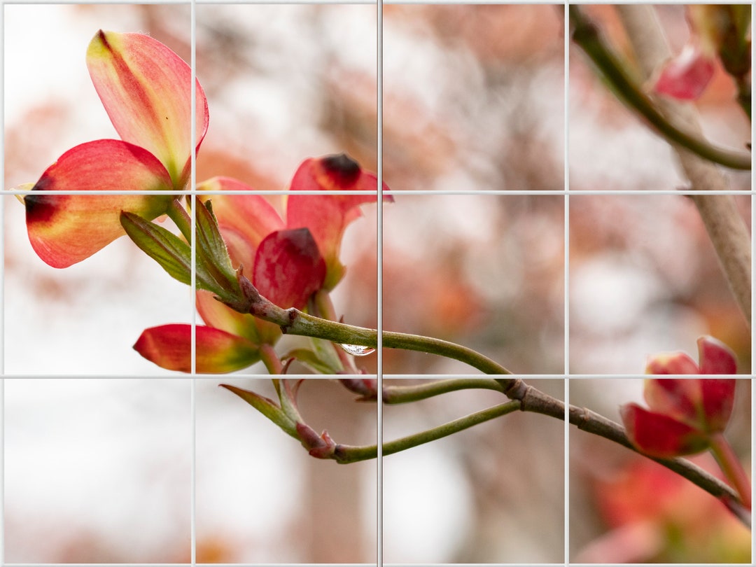 Elegant Pink Dogwood Ceramic Tile Backsplash: Add a Touch of Nature to ...