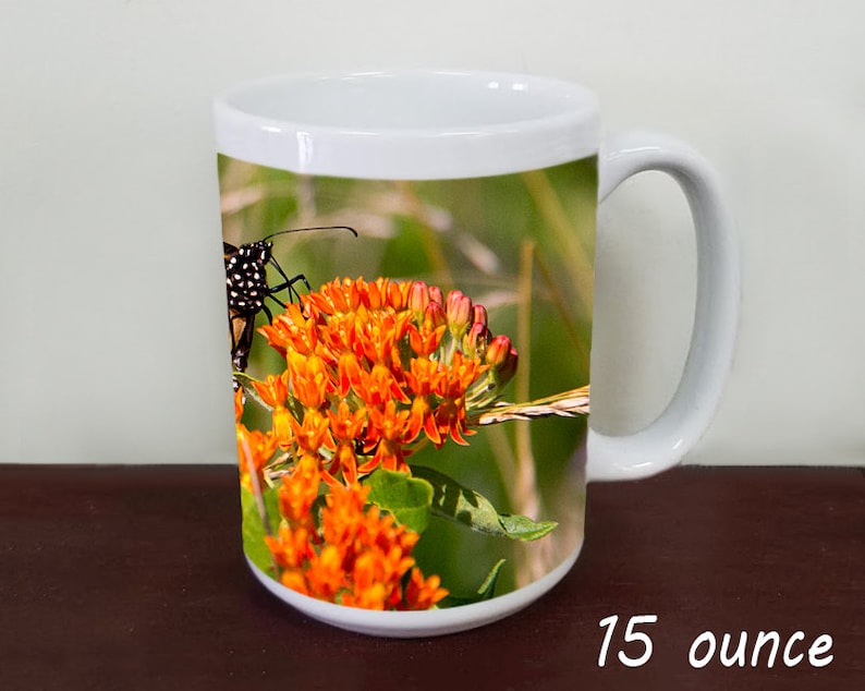 Monarch Butterfly Mug With Butterfly on Milkweed, 2 Sizes , Unique ...