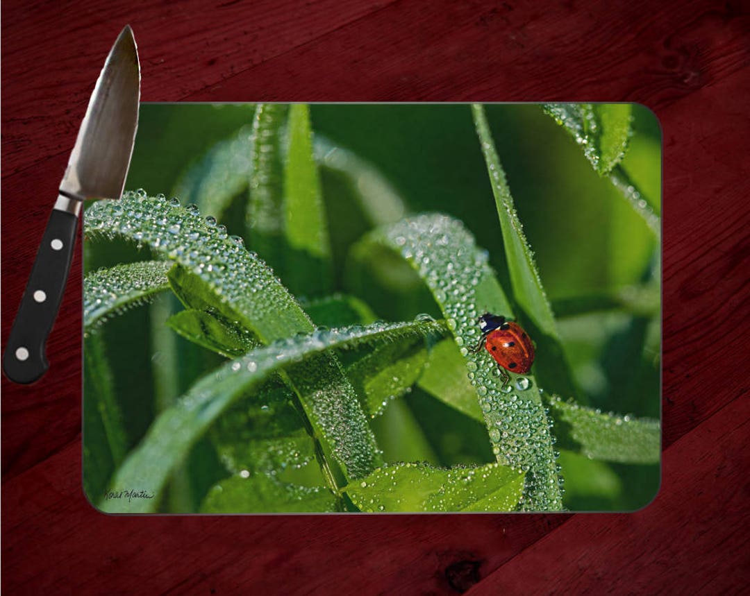 Lady Bug Cutting Board by Koral Martin, Ladybug Photo With Dew Drops ...