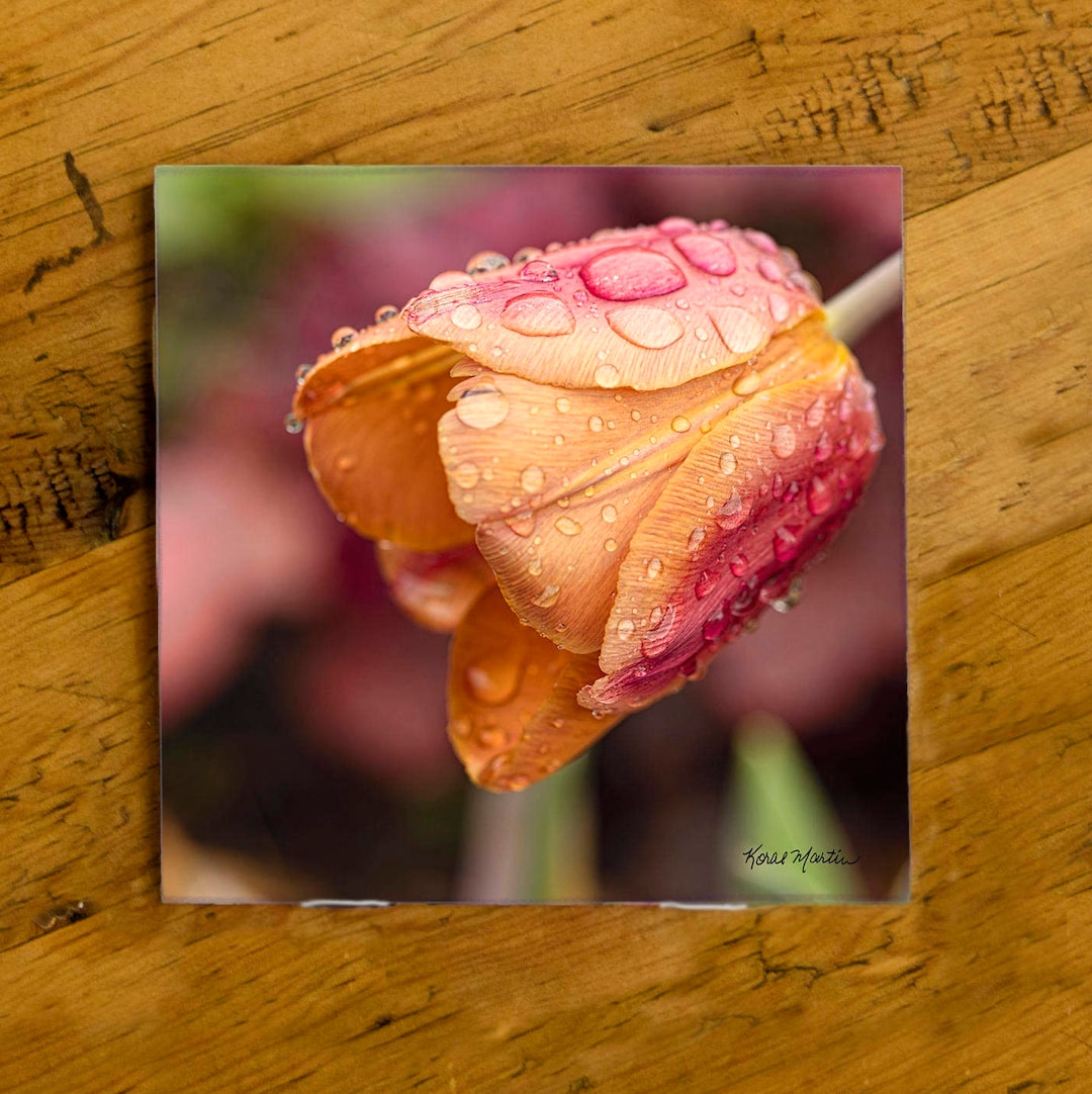 Whimsical Spring Tulip Ceramic Tile Coaster - Stylish Protection for ...