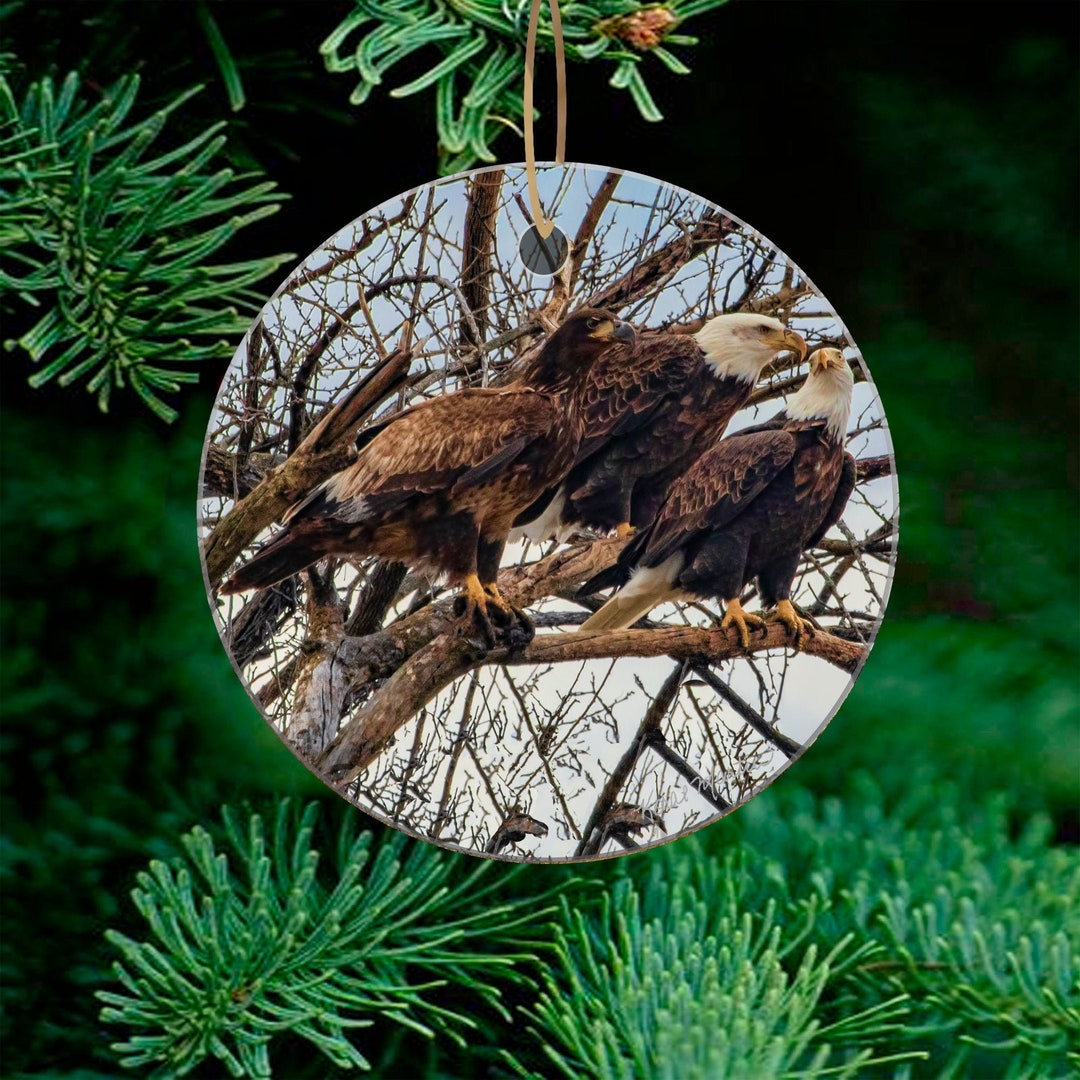 Bald Eagles Ornament With Family of Bald Eagles, Beautiful Eagle ...