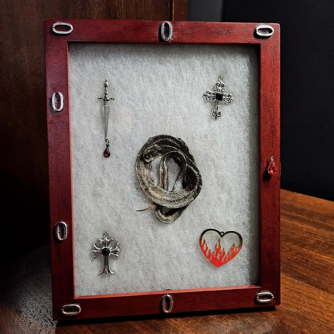 The Serpent’s Ember — Mummified Snake Gothic Shadow Box - Etsy