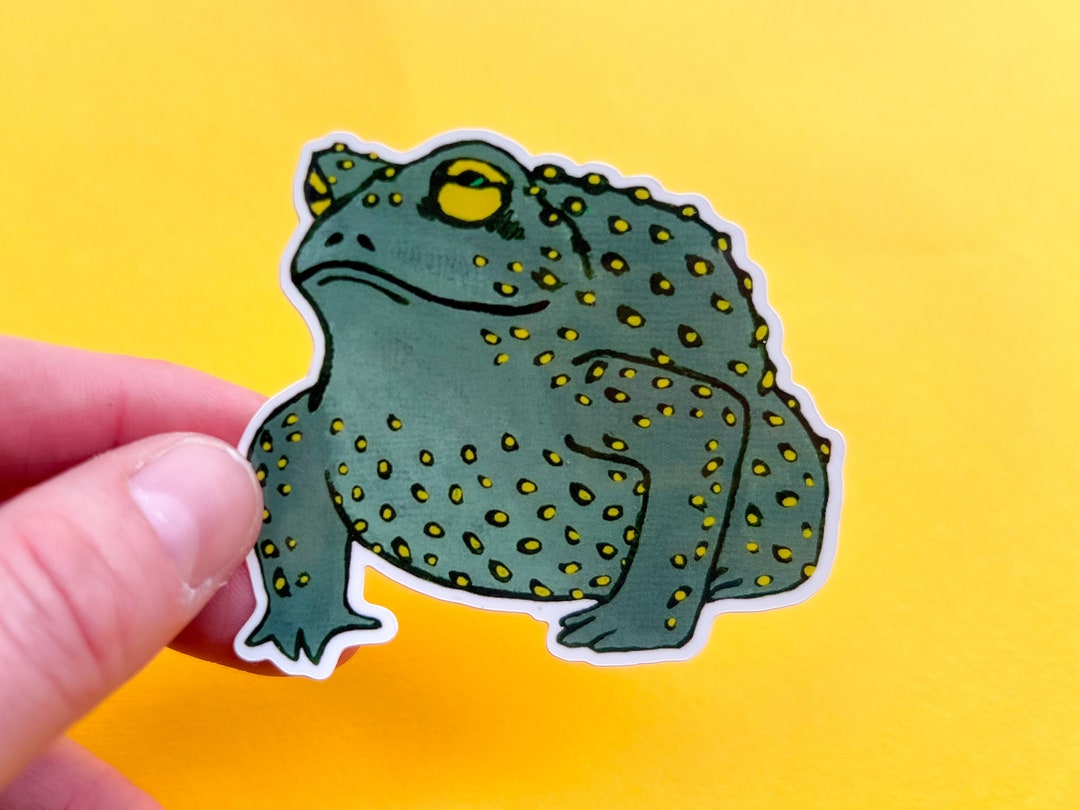 Toad Sticker Waterproof Vinyl Decal Original Artwork by Gazelle Parsons ...