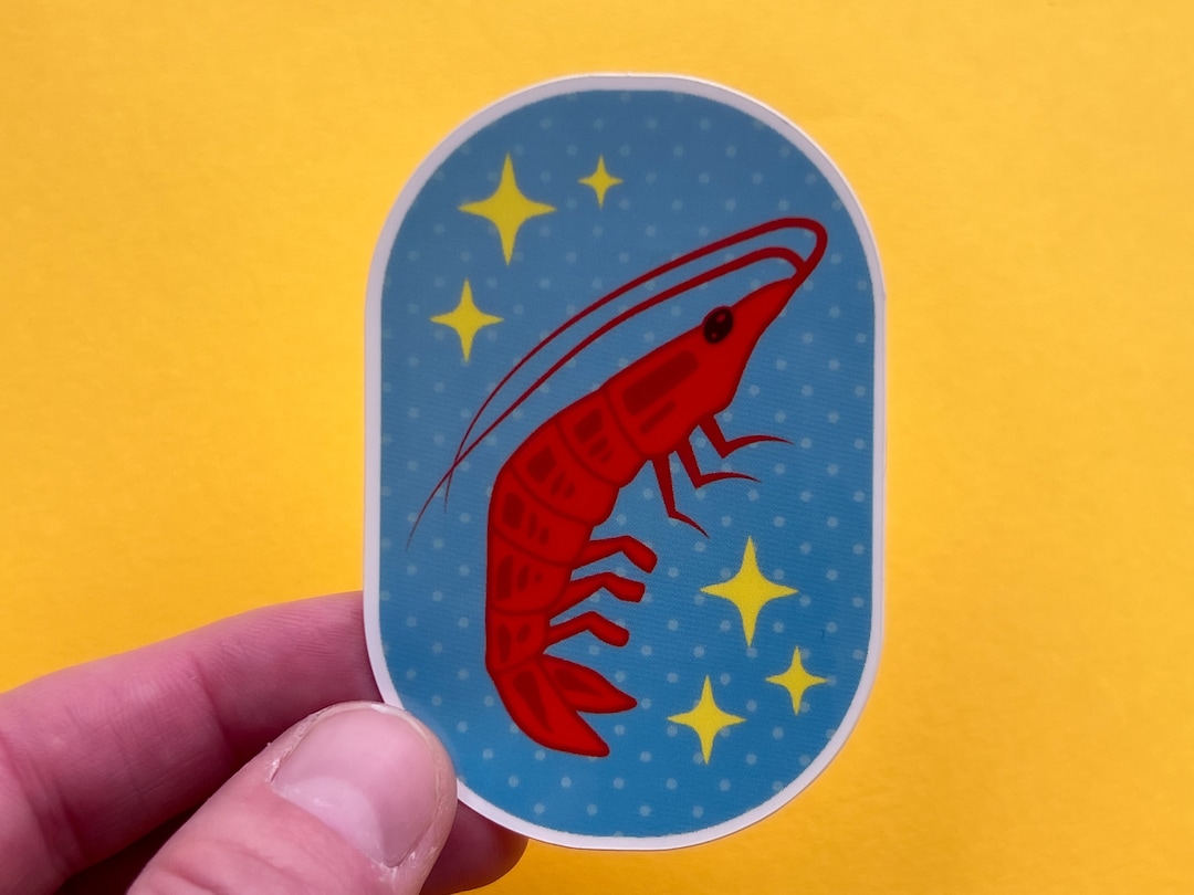 Shrimp Delight Sticker | Waterproof Vinyl Sticker | Original Artwork by ...