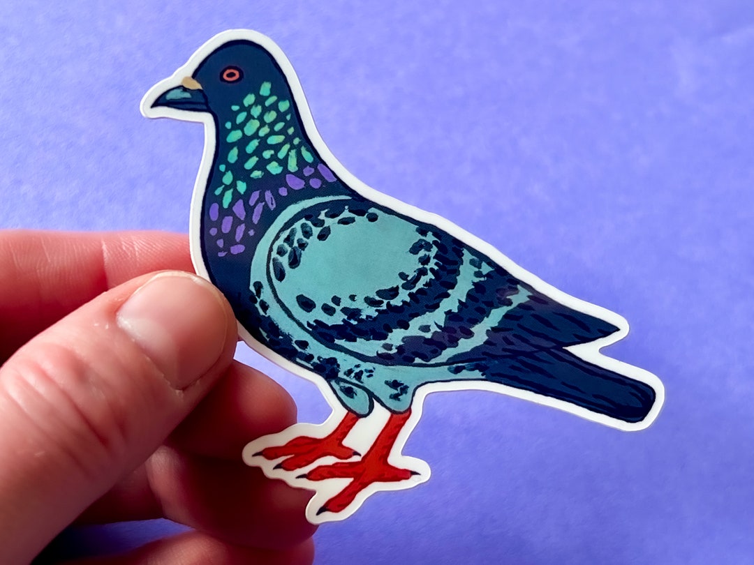 Cute Pigeon Sticker | Waterproof Vinyl Sticker | Original Artwork by ...