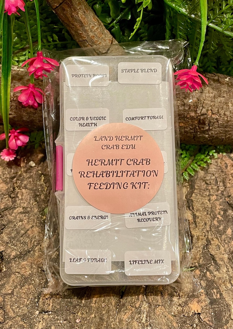 Hermit Crab Rehabilitation Feeding Kit™ - Etsy