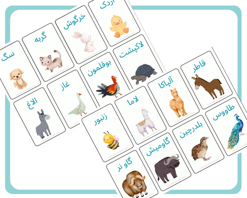 Printable Farsi/persian/dari Farm Animals Flashcards - Etsy