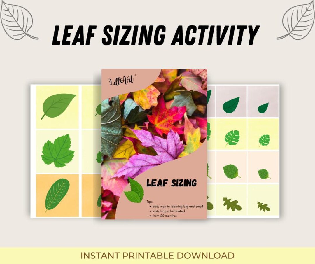 Leaf Matching Activity, Leaf Size Sorting Activity - Small, Medium, Big ...
