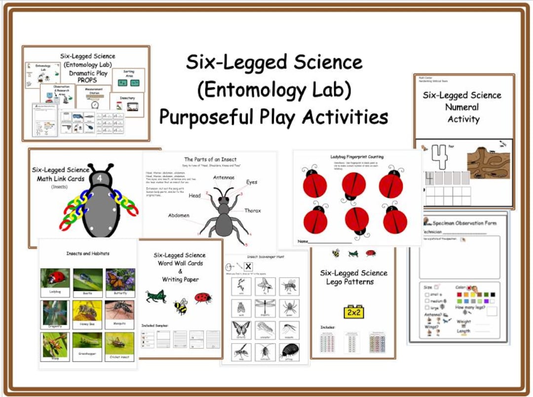 Six-legged Science Purposeful Play Activities -dramatic Play; ELA; Math ...