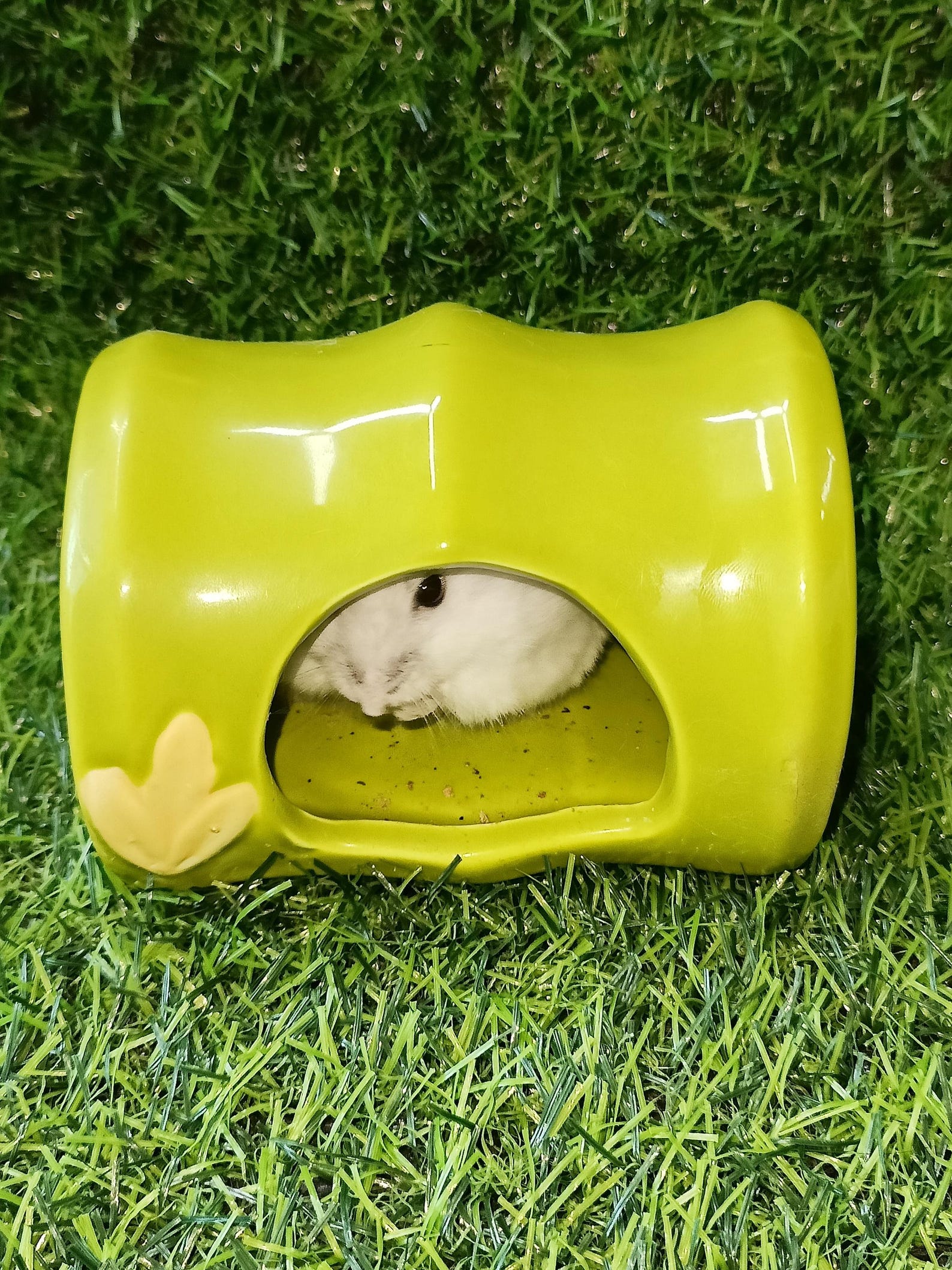 Bamboo Style Hamster Hideout, Hand-painted Pet House, Ceramics Bamboo ...