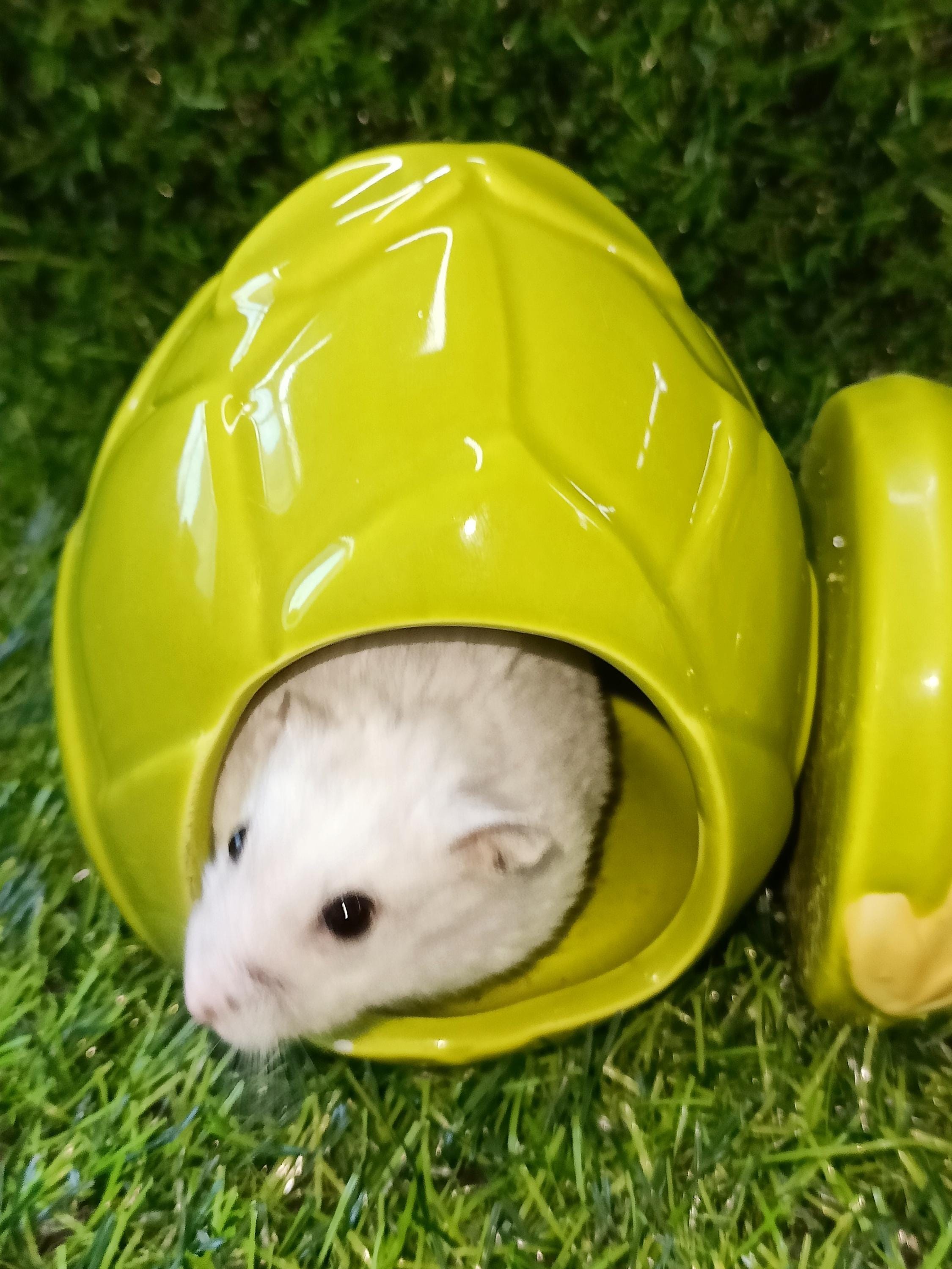 Bamboo Style Hamster Hideout, Hand-painted Pet House, Ceramics Bamboo ...