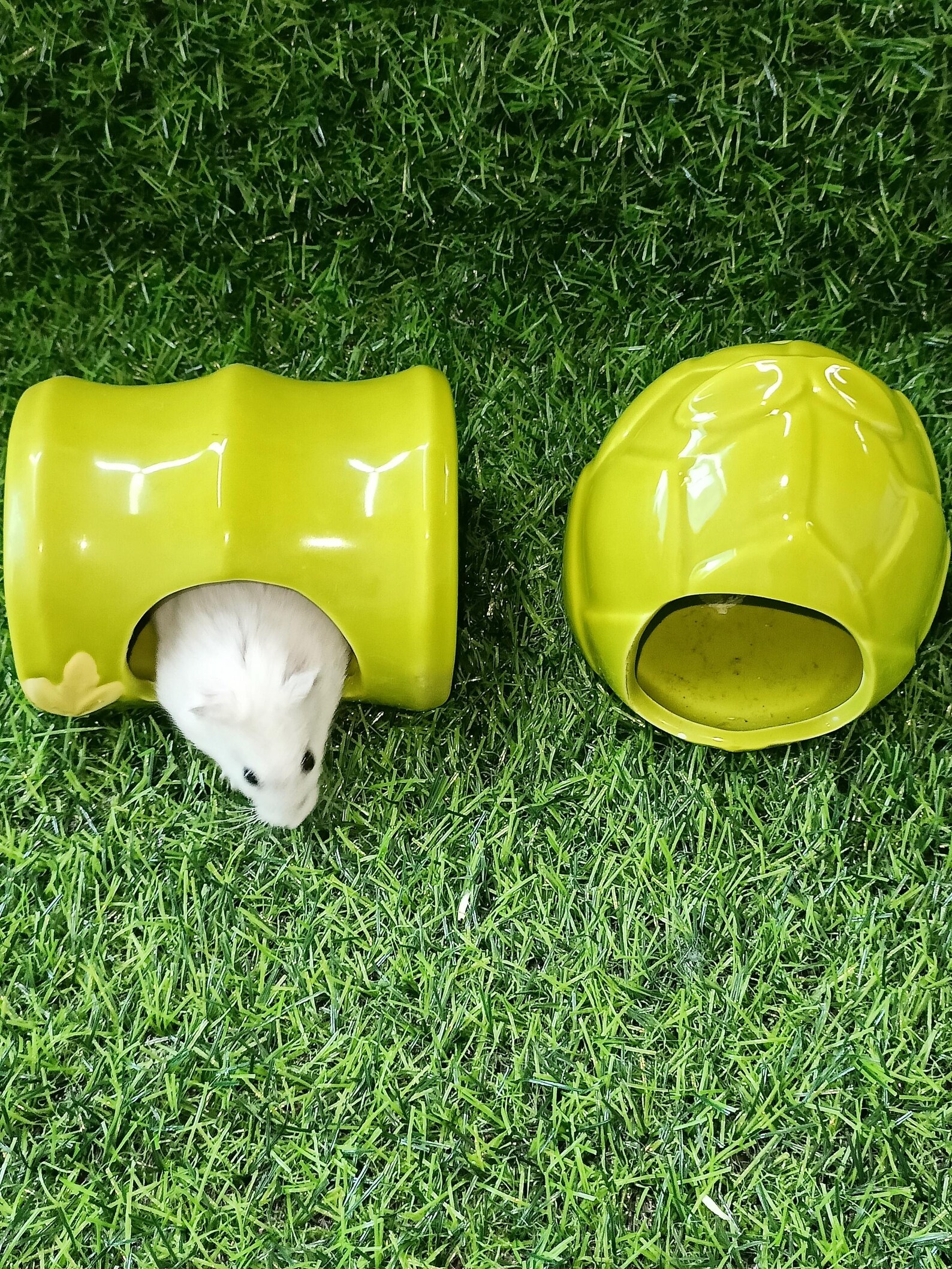 Bamboo Style Hamster Hideout, Hand-painted Pet House, Ceramics Bamboo ...