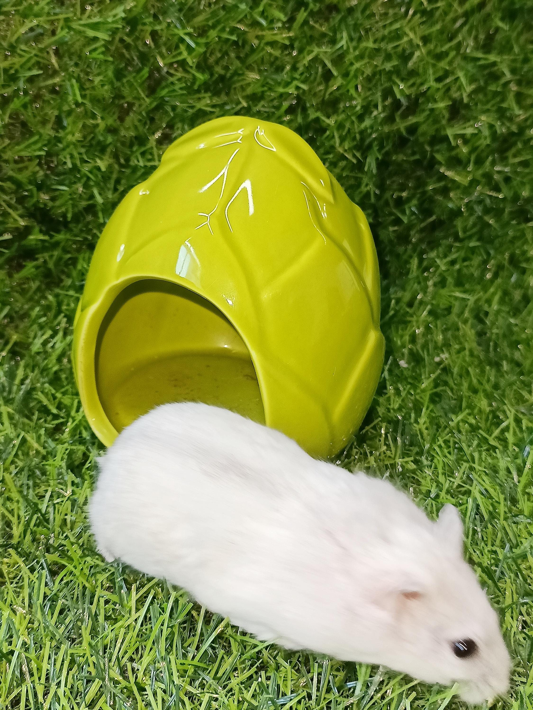 Bamboo Style Hamster Hideout, Hand-painted Pet House, Ceramics Bamboo ...