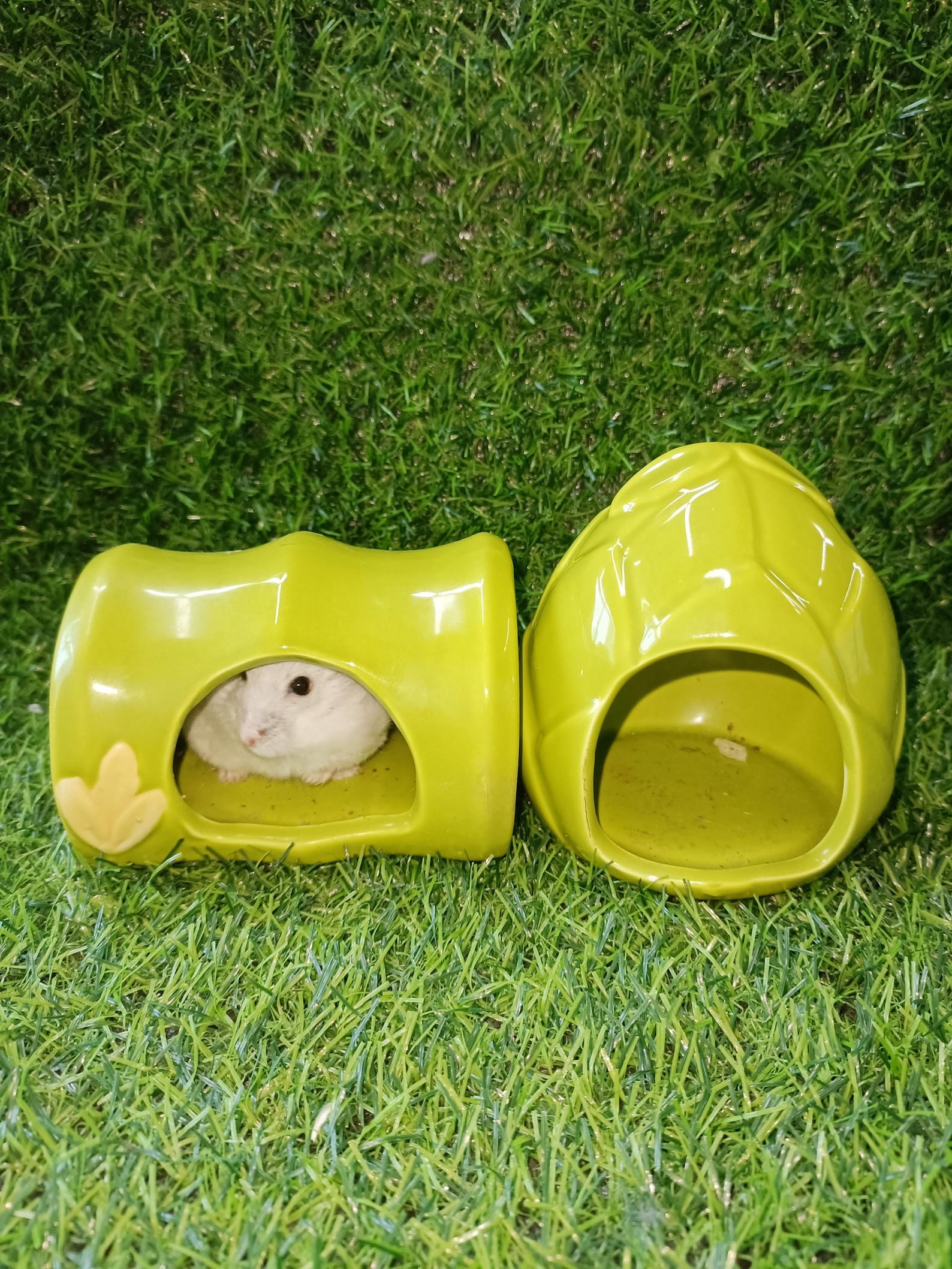 Bamboo Style Hamster Hideout, Hand-painted Pet House, Ceramics Bamboo ...