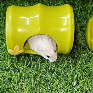 Bamboo Style Hamster Hideout, Hand-painted Pet House, Ceramics Bamboo ...