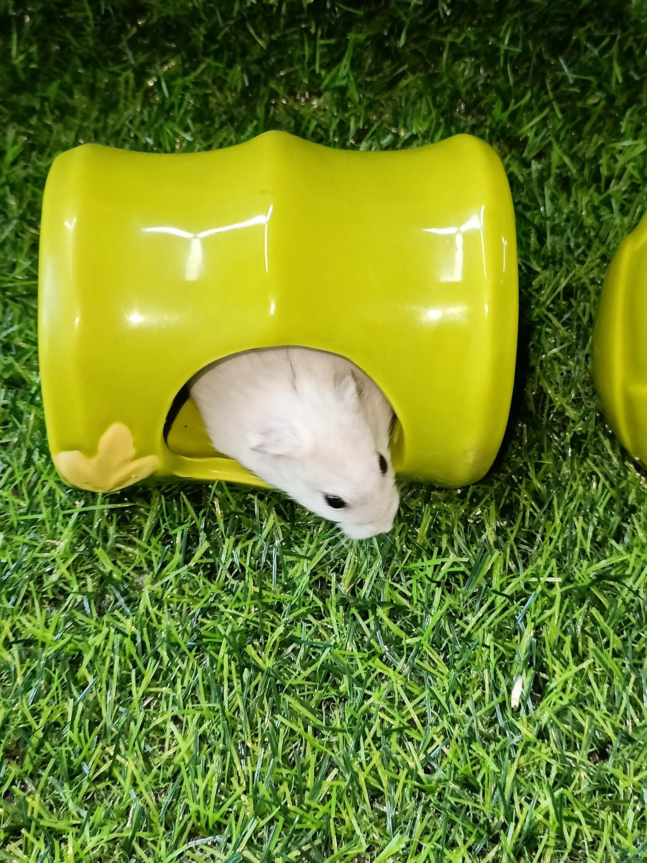 Bamboo Style Hamster Hideout, Hand-painted Pet House, Ceramics Bamboo ...