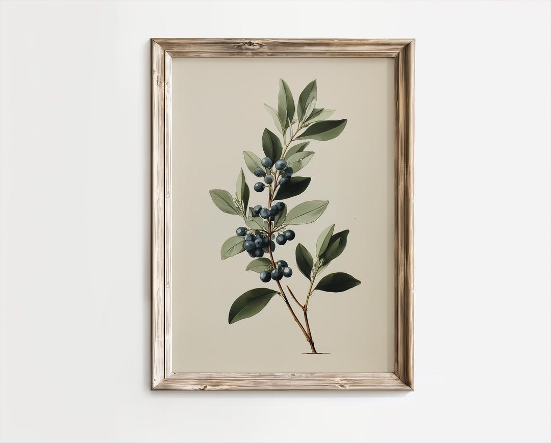 Vintage Juniper Branch Print | Earthy Natural Evergreen Art | Winter ...