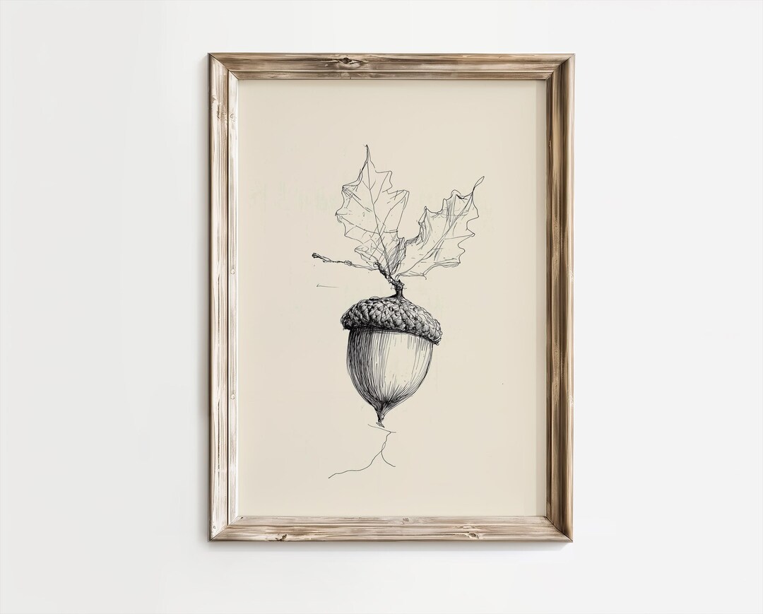 Vintage Acorn Botanical Print | Oak Tree Ink Drawing (digital Download ...