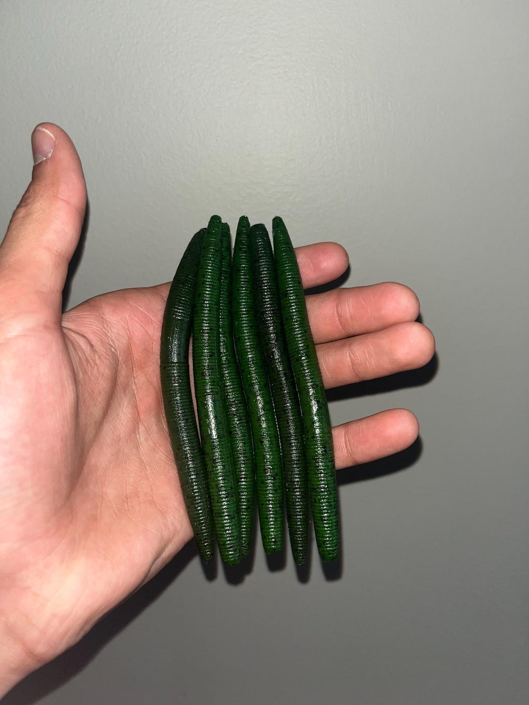 5” Wonder Worms - Etsy