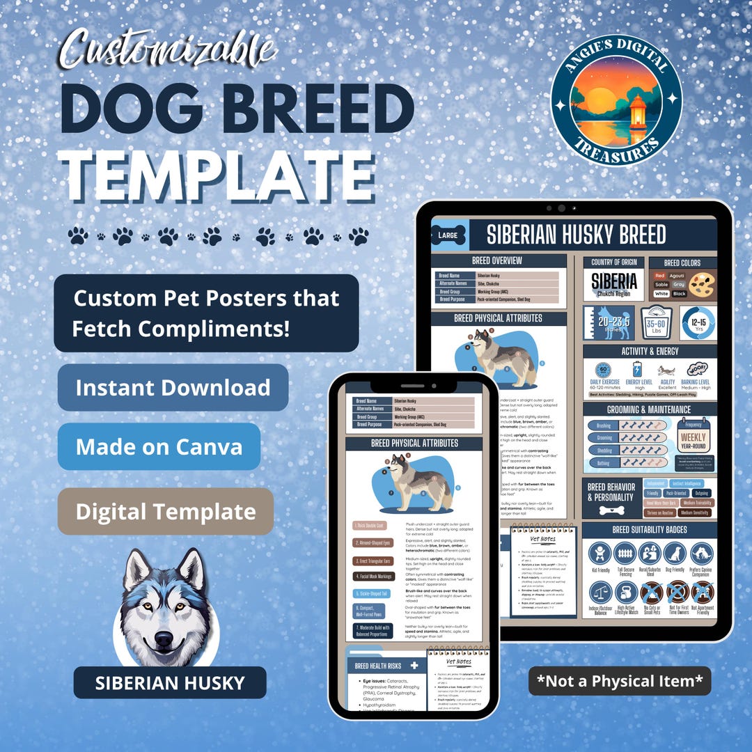 Siberian Husky Dog Breed Infographic: Editable Canva Template - Etsy