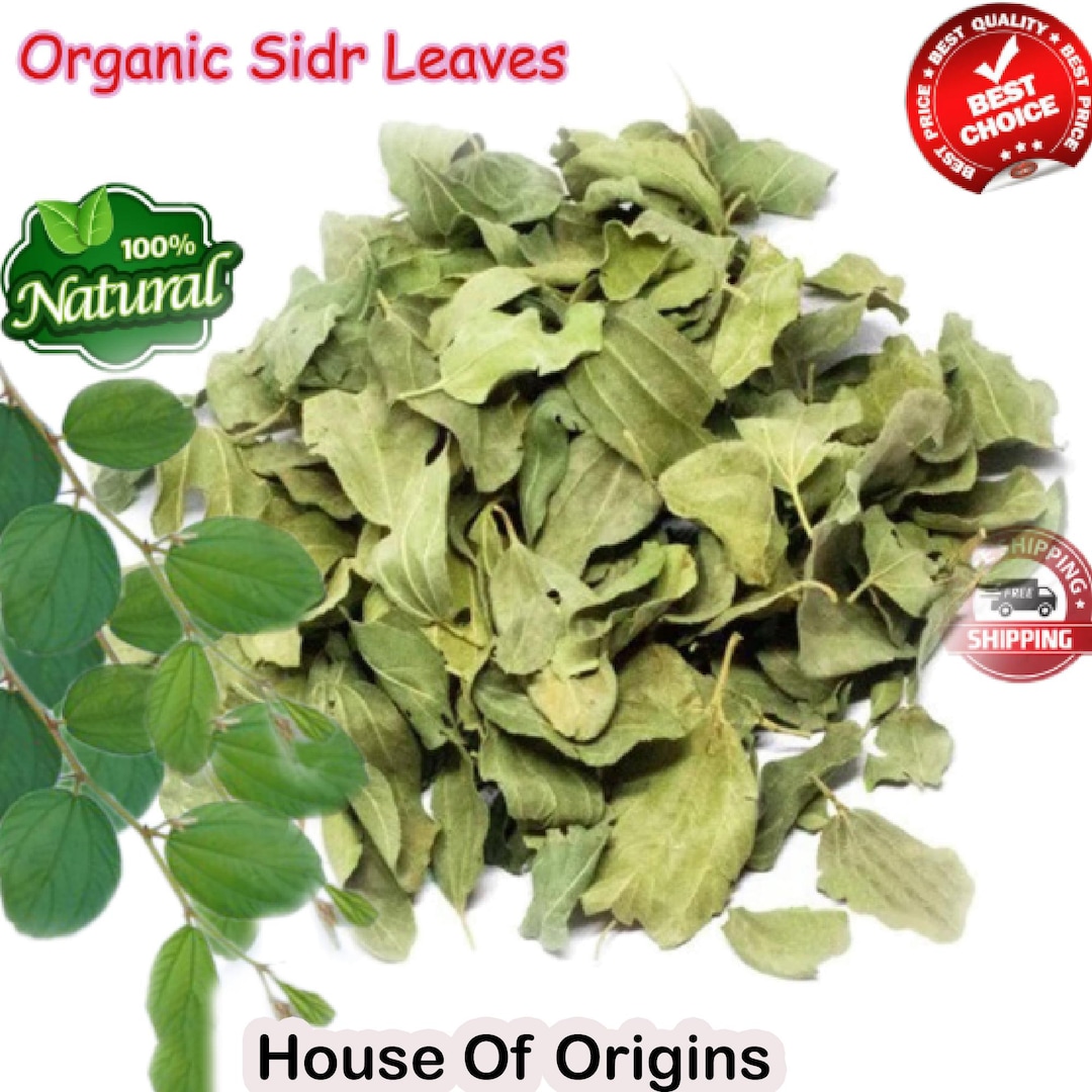 Organic Dried Sidr Leaves (lote Leaves) - 5 KG BULK - Etsy