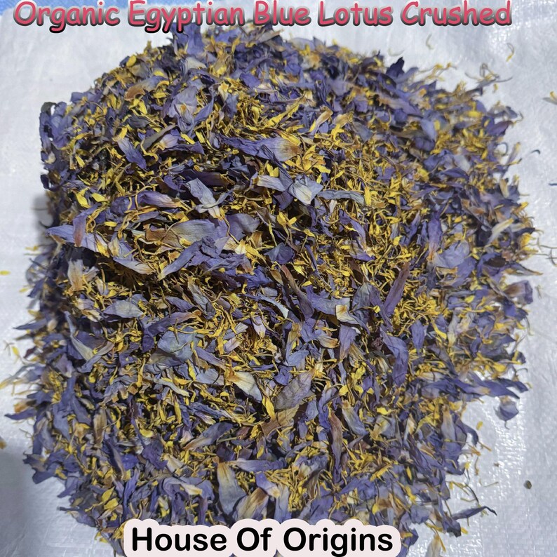 Organic Crushed Blue Lotus Tea | Nymphaea Caerulea Petals for ...