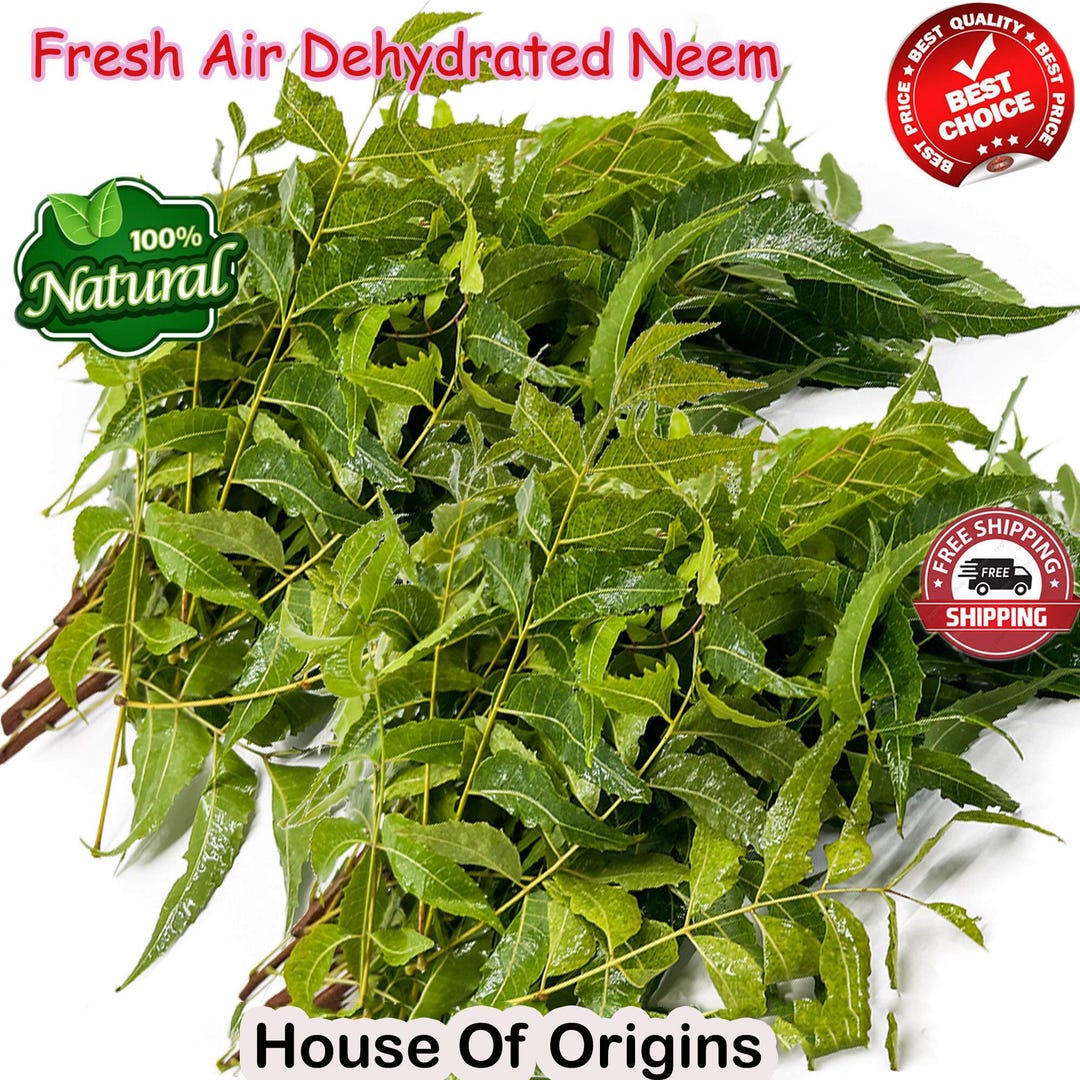 10 KG Organic Neem Leaves, Bulk Herbs, Natural Azadirachta Indica Leaf ...