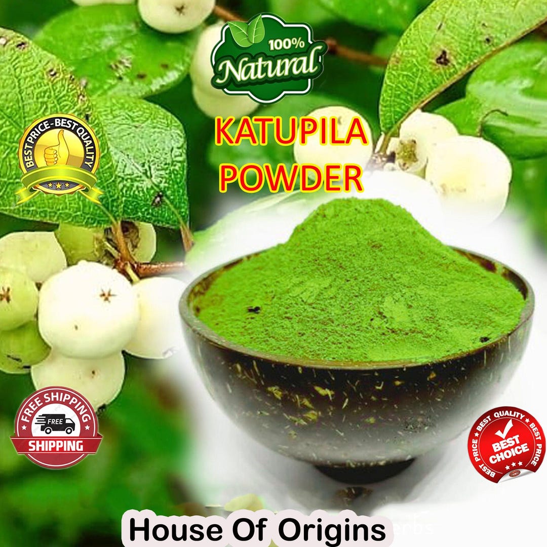Dried Katupila, Securinega Leucopyrus, Pure Herbal Tea Natural Organic ...