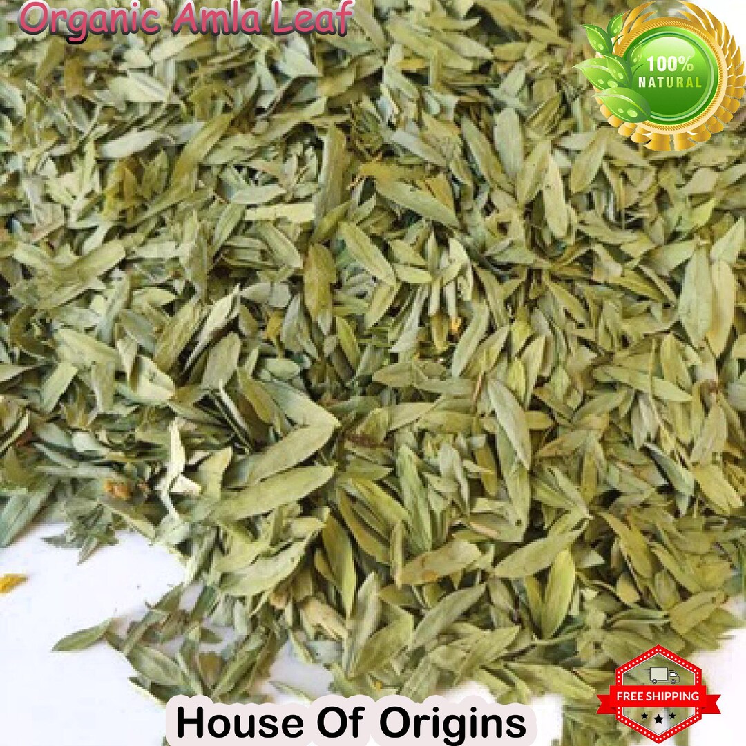 Amla Leaves Powder, 1 KG BULK, Pure Organic Wild Harvested ,indian ...