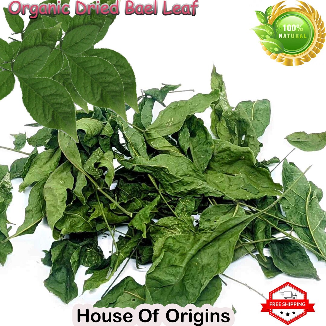 Organic Dried Bael Leaves: 100% Natural Bilva Patra Tea (2kg BULK) - Etsy