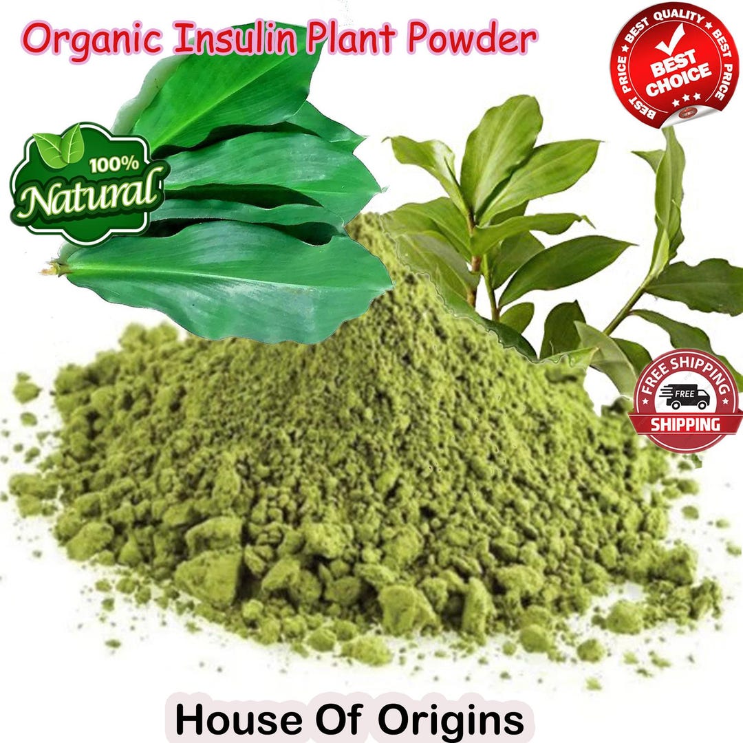 Organic Insulin Plant Leaf Powder - Canereed Igneus, Costus Speciosus ...