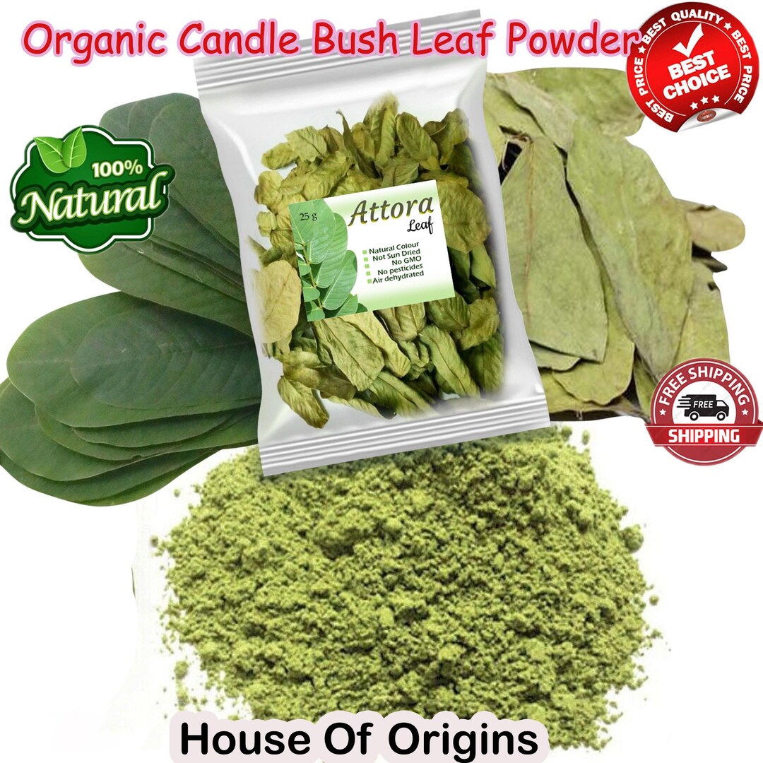 Organic Cassia Alata Leaf Powder: Senna Alata, Candle Bush (2 KG Bulk ...